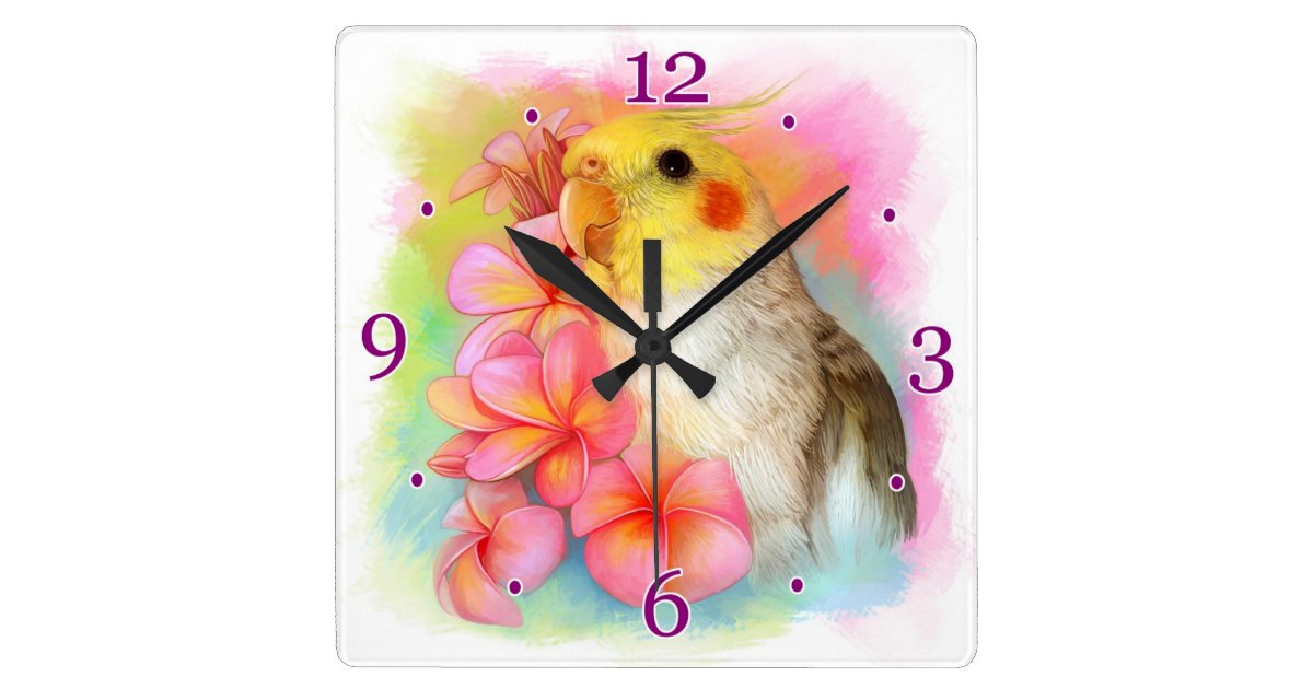 Cockatiel with frangipani square wall clock | Zazzle.com