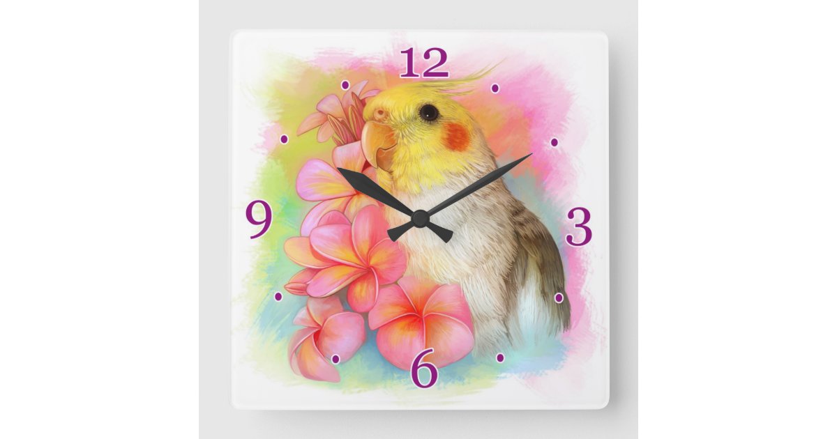 Cockatiel with frangipani square wall clock | Zazzle