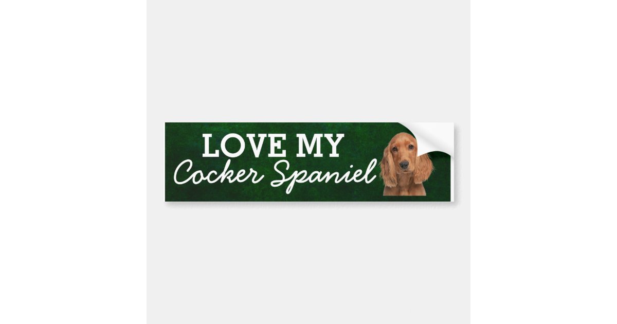 Cocker Spaniel bumper sticker | Zazzle