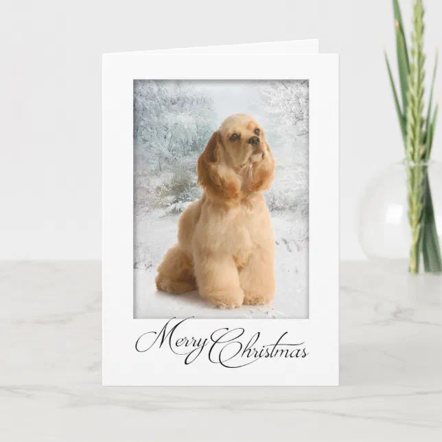 Cocker Spaniel Christmas Card | Zazzle
