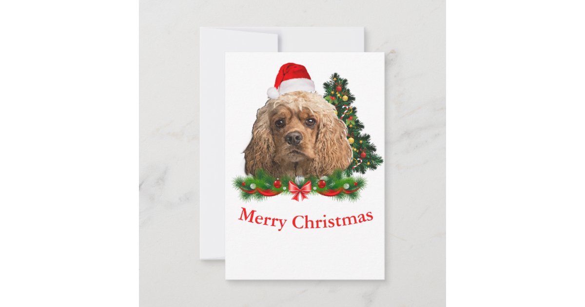 Cocker spaniel Christmas cards | Zazzle