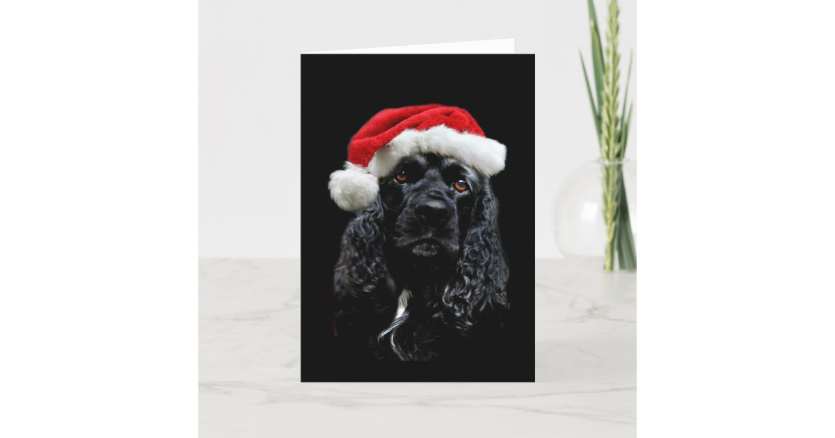 Cocker Spaniel Christmas Holiday Card | Zazzle