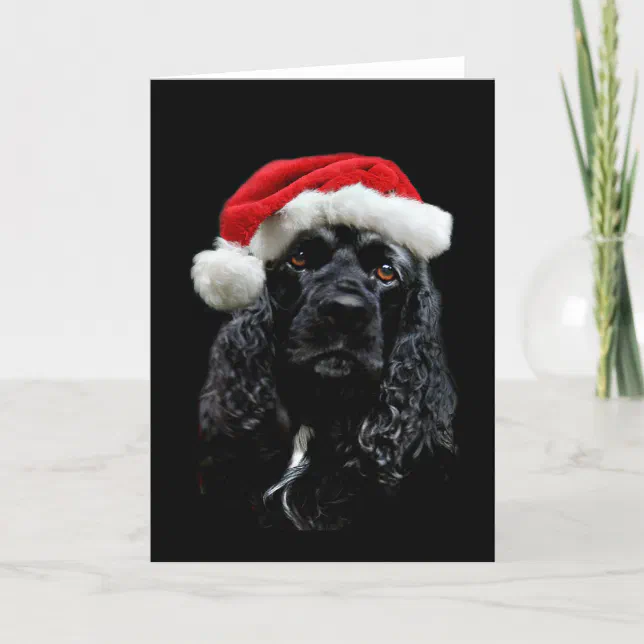 Cocker Spaniel Christmas Holiday Card | Zazzle