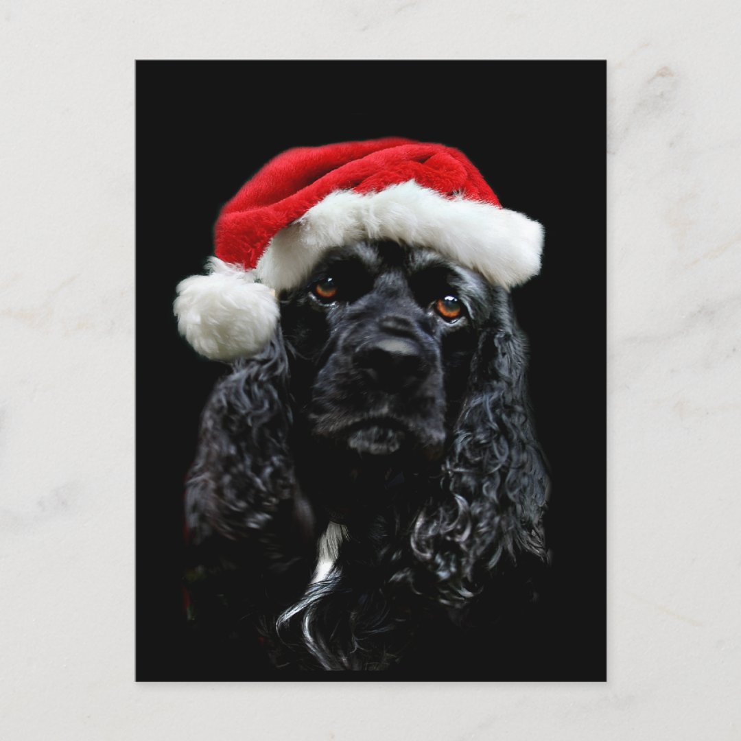 Cocker Spaniel Christmas Holiday Postcard | Zazzle
