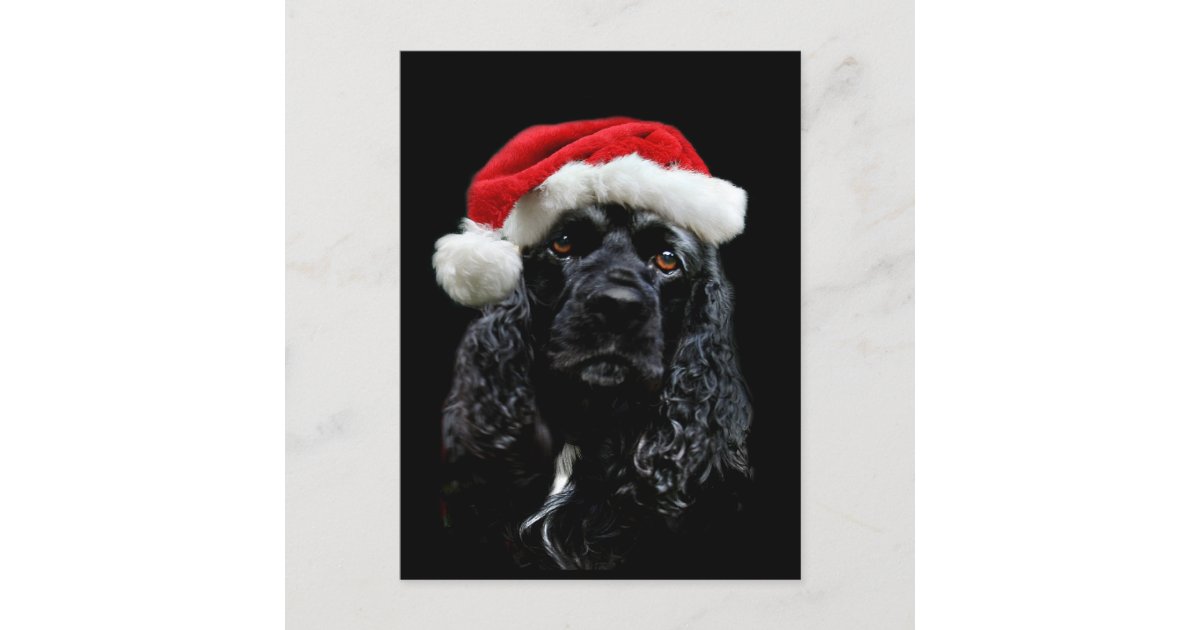 Cocker Spaniel Christmas Holiday Postcard | Zazzle