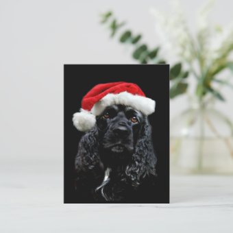 Cocker Spaniel Christmas Holiday Postcard | Zazzle