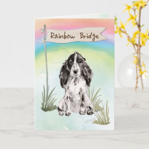 Cocker Spaniel Pet Sympathy Over Rainbow Bridge Card | Zazzle