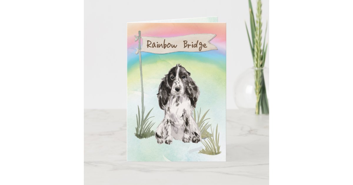 Cocker Spaniel Pet Sympathy Over Rainbow Bridge Card | Zazzle