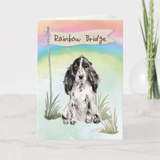 Cocker Spaniel Pet Sympathy Over Rainbow Bridge Card | Zazzle