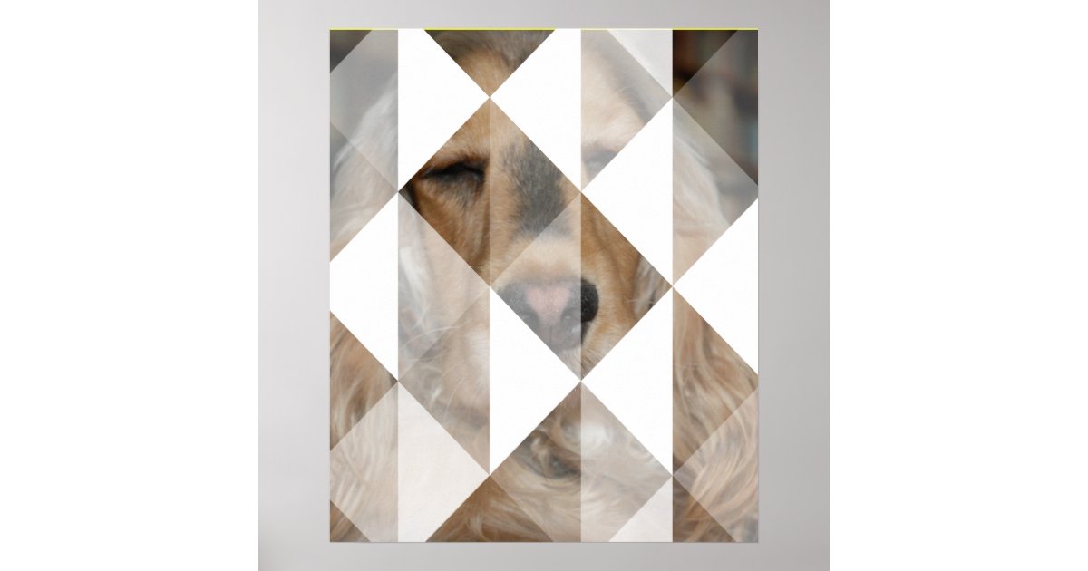 Cocker Spaniel Poster | Zazzle