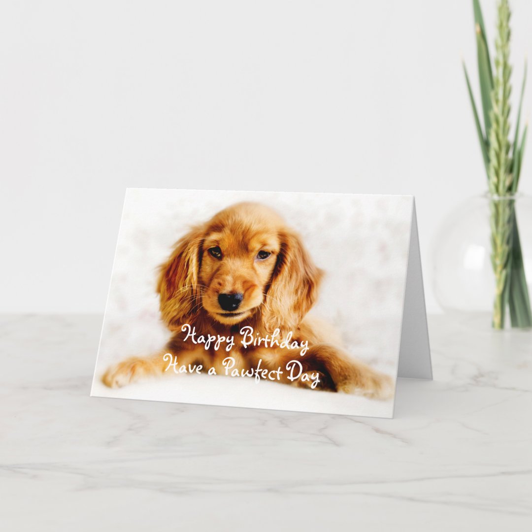 Cocker Spaniel Puppy Happy Birthday Greeting Card | Zazzle