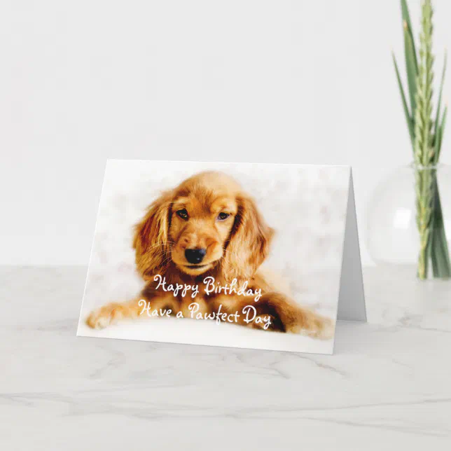 Cocker Spaniel Puppy Happy Birthday Greeting Card | Zazzle