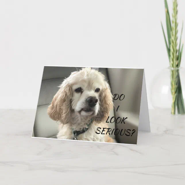 COCKER SPANIEL PUPPY WISHES U HAPPY BIRTHDAY CARD | Zazzle