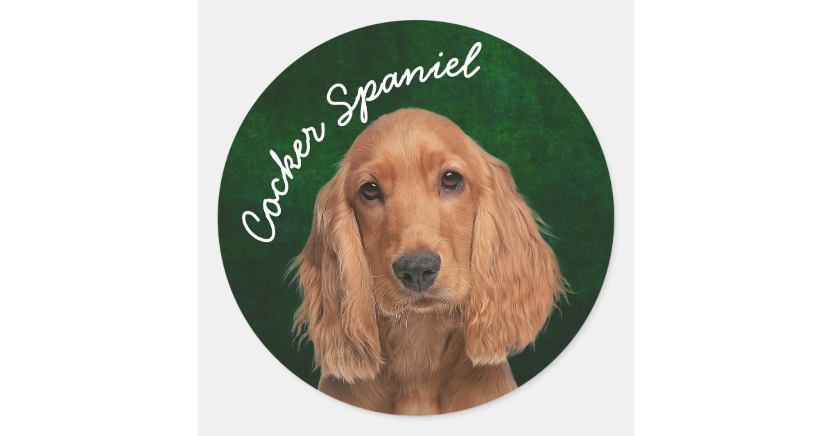 Cocker Spaniel Sticker | Zazzle