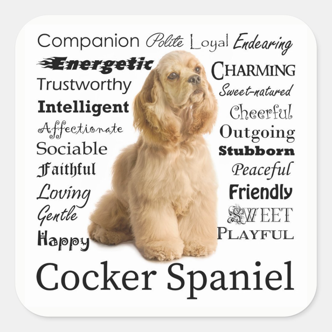 Cocker Spaniel Traits Stickers | Zazzle