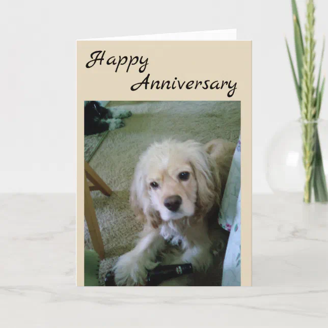 COCKER SPANIEL WITH BEER-HAPPY ANNIVERSARY CARD | Zazzle