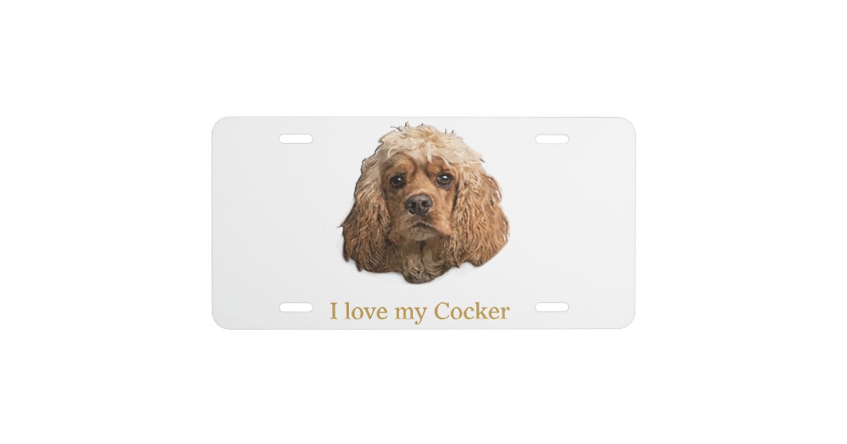 cocker spaniels license plate | Zazzle