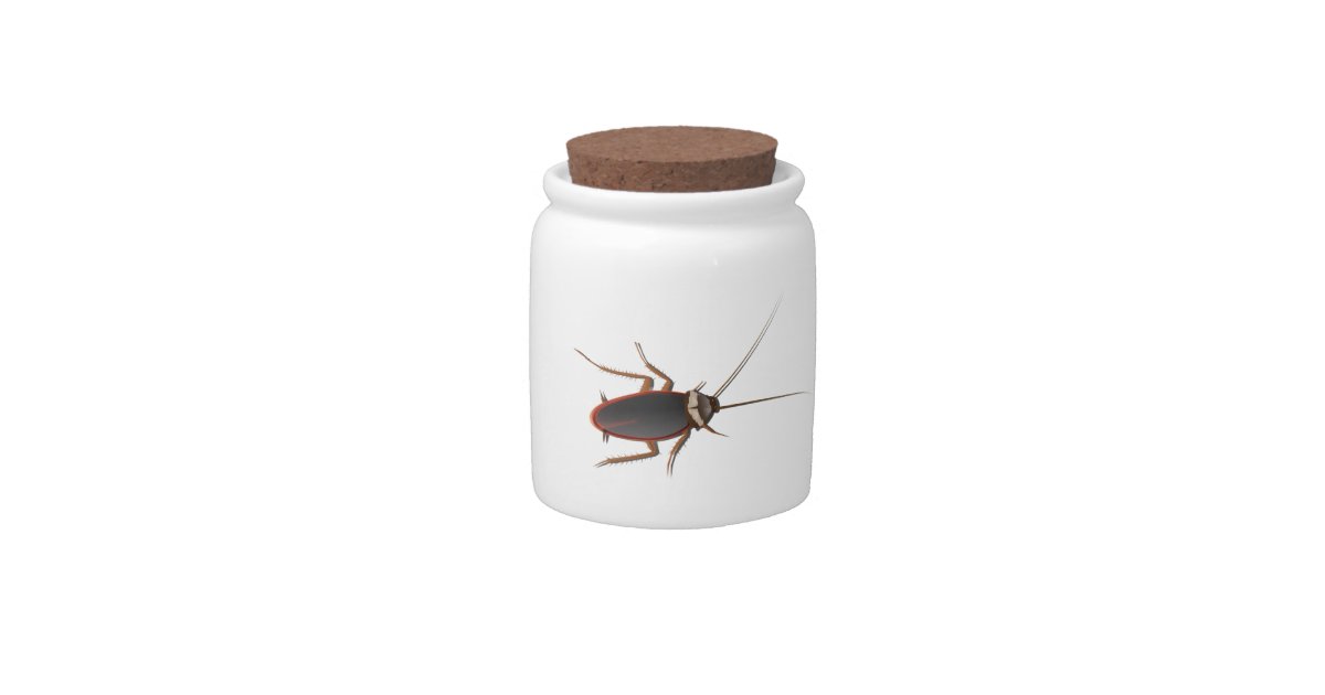 Cockroach Candy Jar | Zazzle
