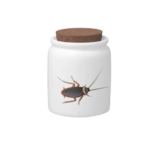 Cockroach Candy Jar | Zazzle