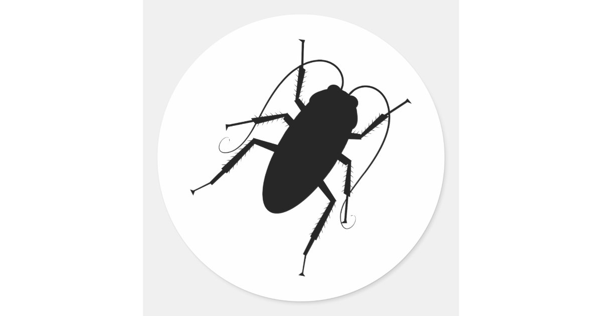 Cockroach Classic Round Sticker | Zazzle