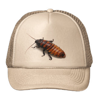 Roach Hats | Zazzle