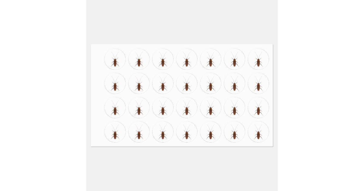 Cockroach Insect Kids' Labels | Zazzle