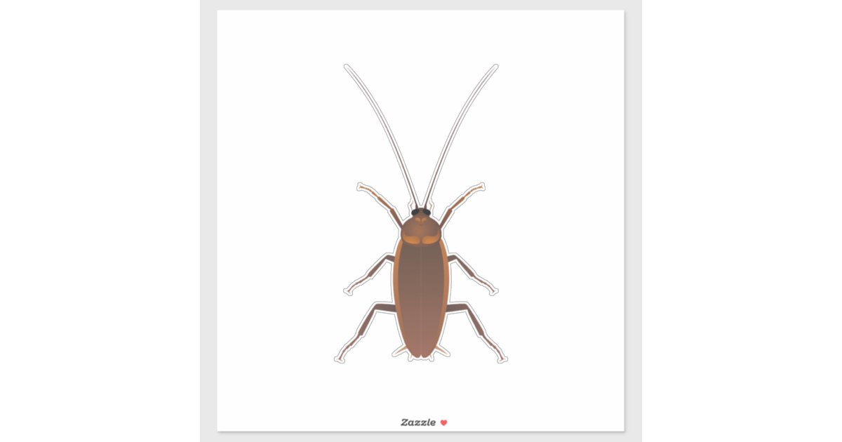 Cockroach Insect Sticker | Zazzle