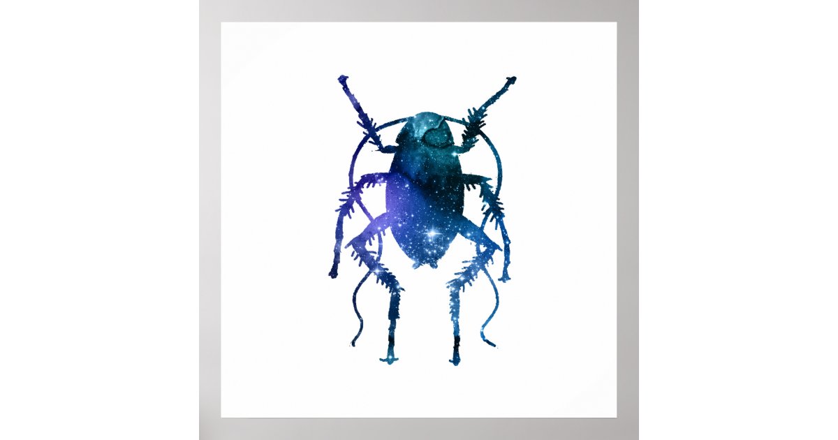 Cockroach Poster | Zazzle