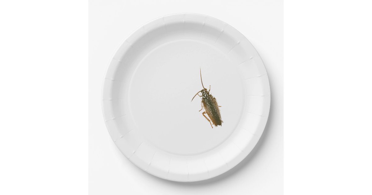 Cockroach prank plate | Zazzle