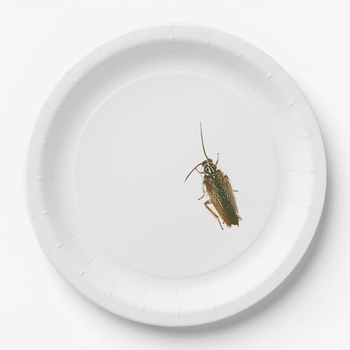 Cockroach prank plate | Zazzle.com