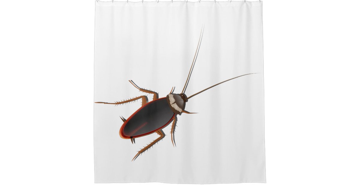 Cockroach Shower Curtain | Zazzle