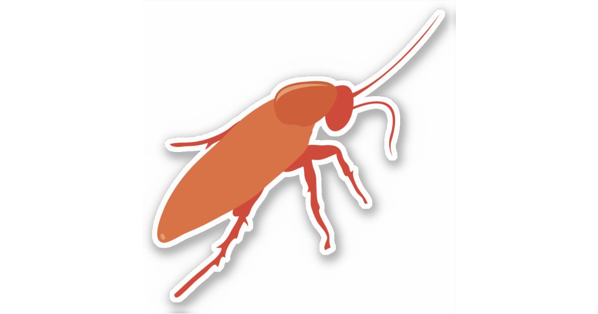Cockroach Sticker | Zazzle