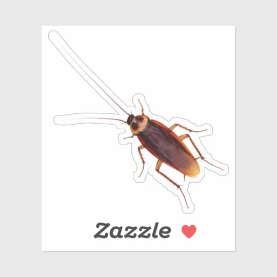 Cockroach Sticker | Zazzle.com
