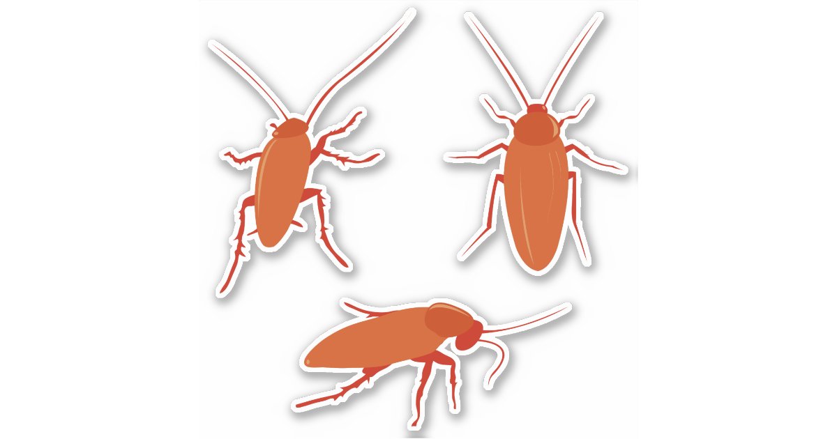 Cockroach Sticker Set | Zazzle