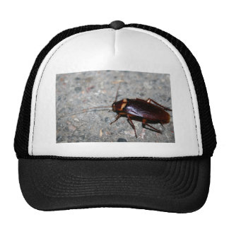 Cockroaches Hats | Zazzle