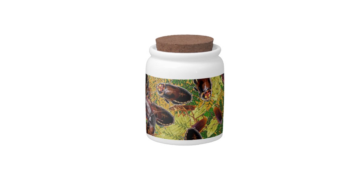 Cockroaches Candy Jar | Zazzle