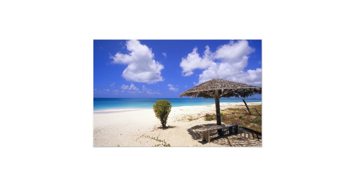 Coco Point Beach, Barbuda, Antigua Photo Print | Zazzle