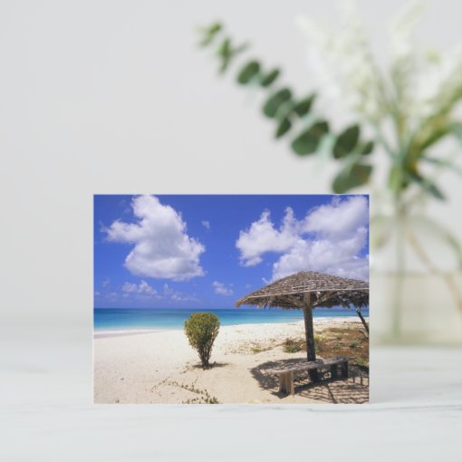 Coco Point Beach, Barbuda, Antigua Postcard | Zazzle