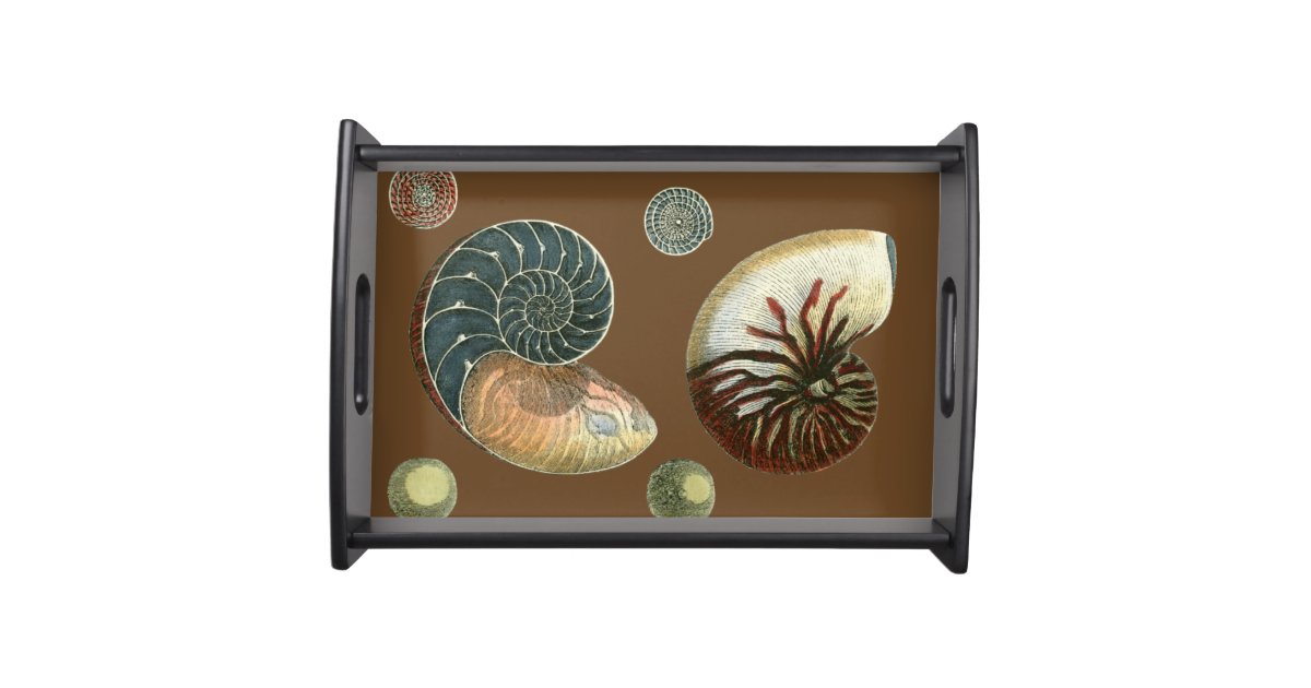 Cocoa Shell Serving Tray | Zazzle
