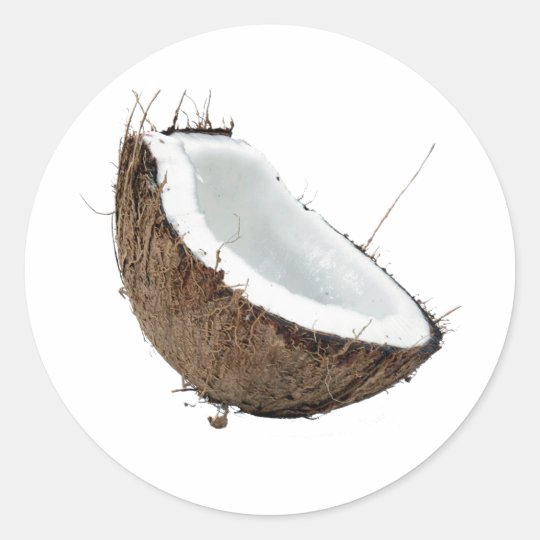 Coconut Classic Round Sticker | Zazzle.com