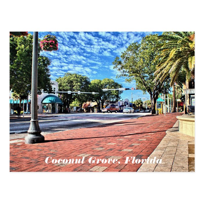 Coconut Grove, Florida Postcard | Zazzle.com