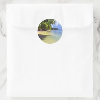Coconut Palm Tree Tropical Island Classic Round Sticker | Zazzle