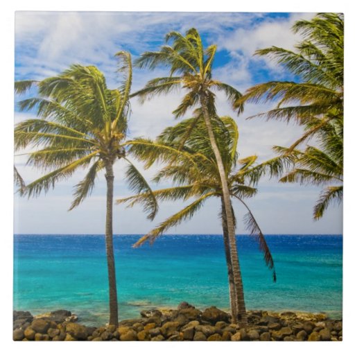 Coconut palm trees (Cocos nucifera) swaying in Ceramic Tiles