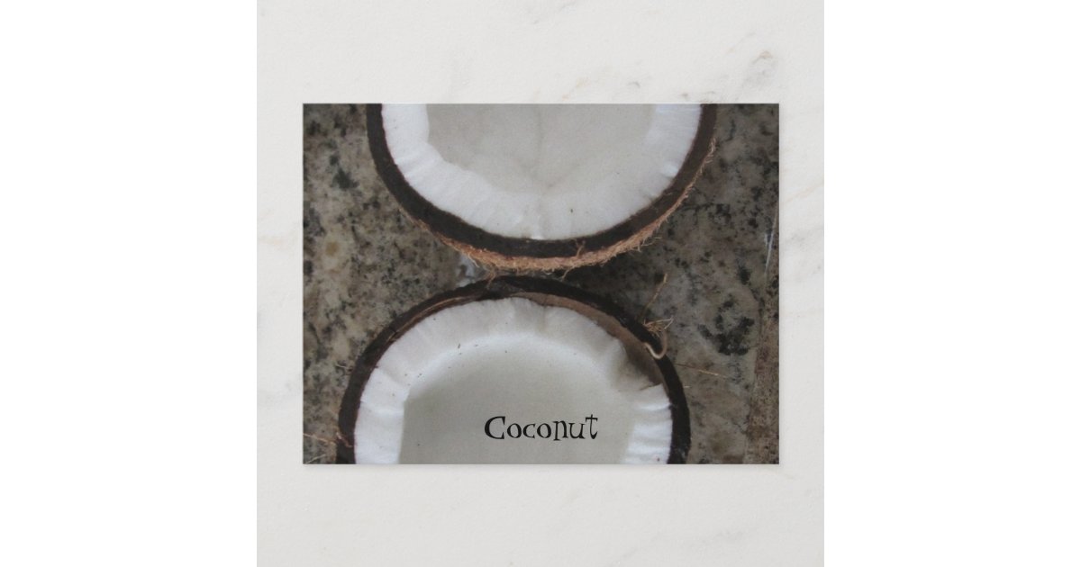 Coconut Postcard | Zazzle