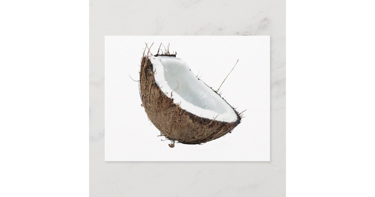 Coconut Postcard | Zazzle