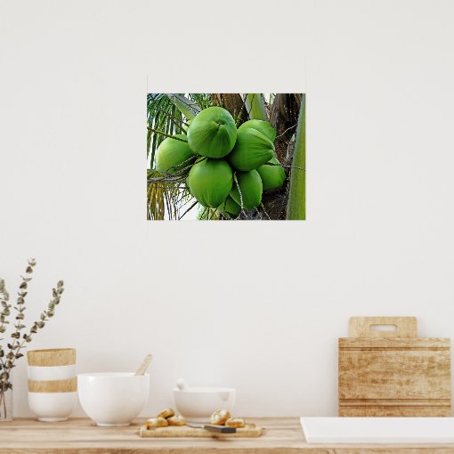 Coconut Poster | Zazzle