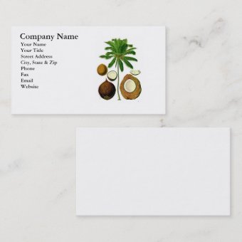 Coconut Tree Botanical Illustration Business Card | Zazzle