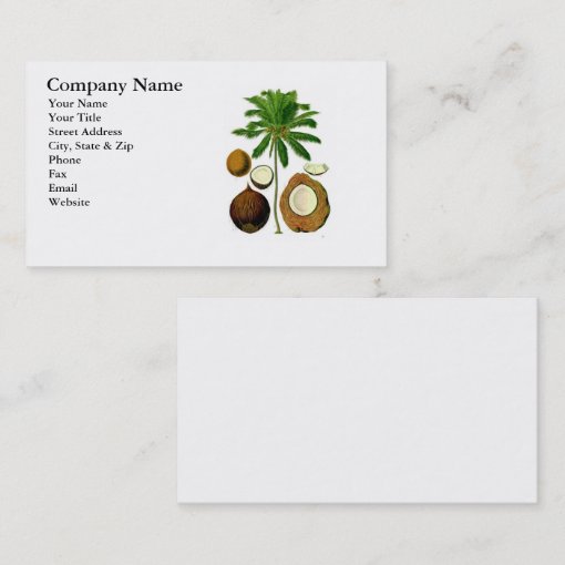 Coconut Tree Botanical Illustration Business Card | Zazzle
