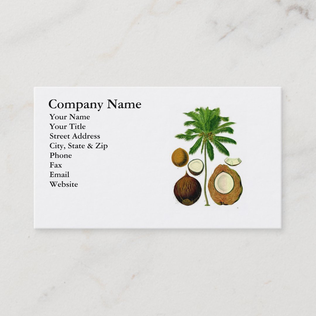 Coconut Tree Botanical Illustration Business Card | Zazzle