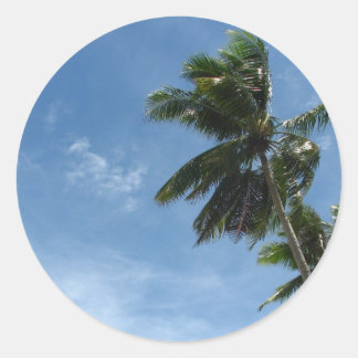 Coconut Tree Stickers | Zazzle